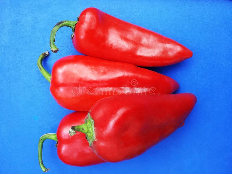Red Pepper on Blue Background Stock Photo - Image of leaf, kitchen ...