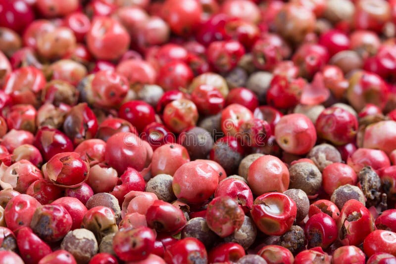 Red pepper stock image. Image of seasoning, flavoring - 79199625