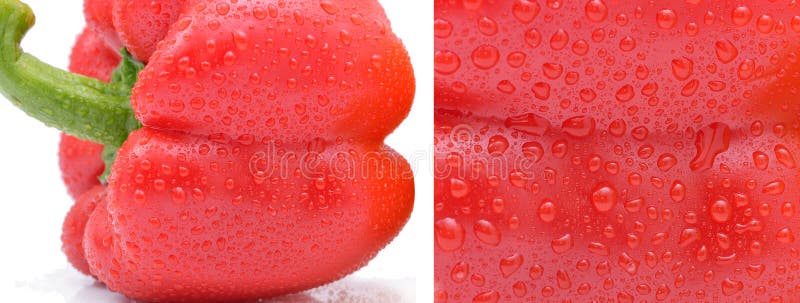 Red Pepper with Drops of Water on White Background Stock Image - Image ...