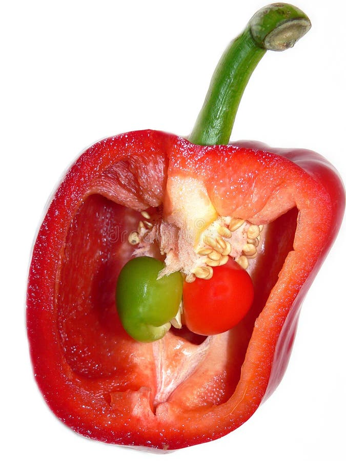 Red pepper cut in half stock image. Image of selective - 23702247