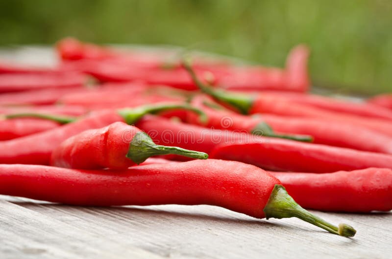 Red pepper stock image. Image of table, pepper, paint - 50603035