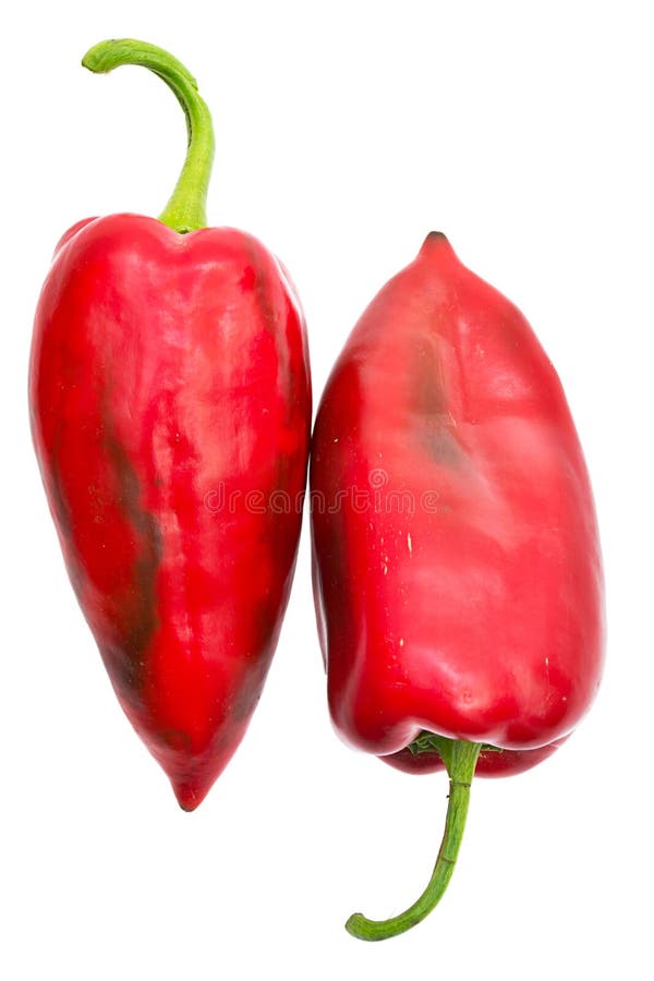 Red pepper isolated stock photo. Image of closeup, garden - 21089830