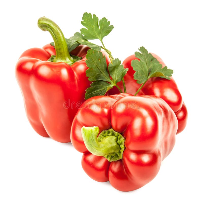 Red Pepper Isolated On White Background Stock Photo - Image of image ...