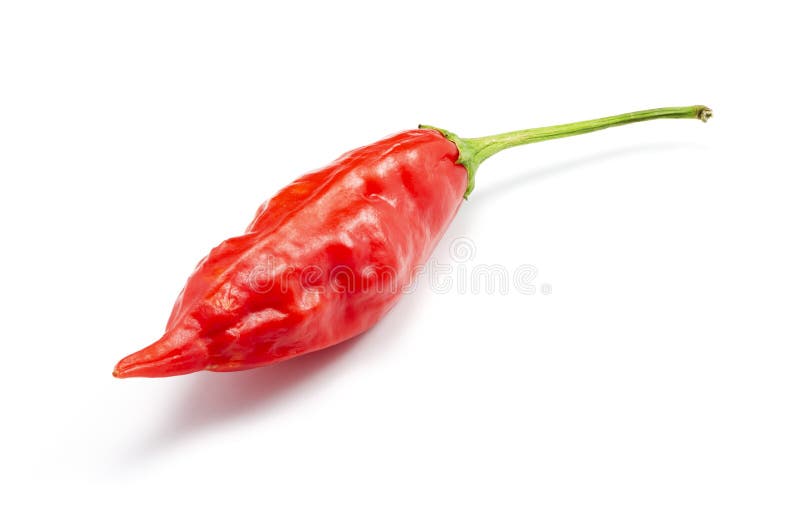Red Pepper Isolated on a White Background Stock Photo - Image of chili ...