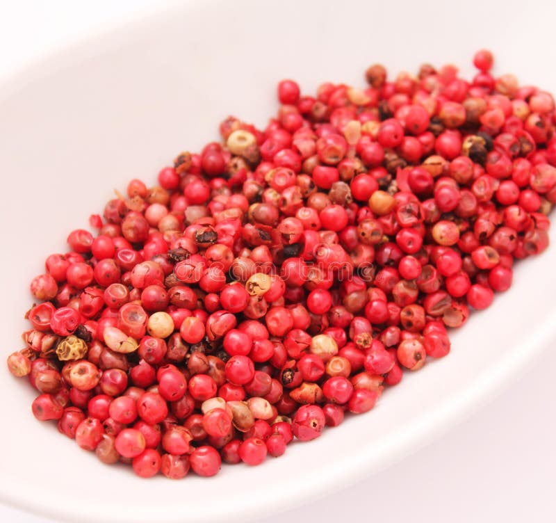 Red pepper seeds stock photo. Image of spices, freshness - 25215526