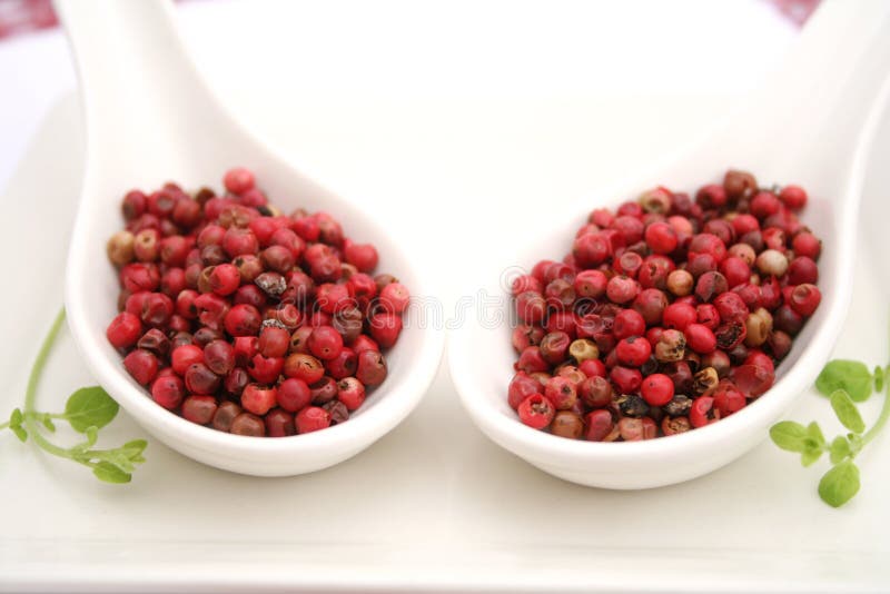 Red pepper seeds stock image. Image of berries, spice - 37193093