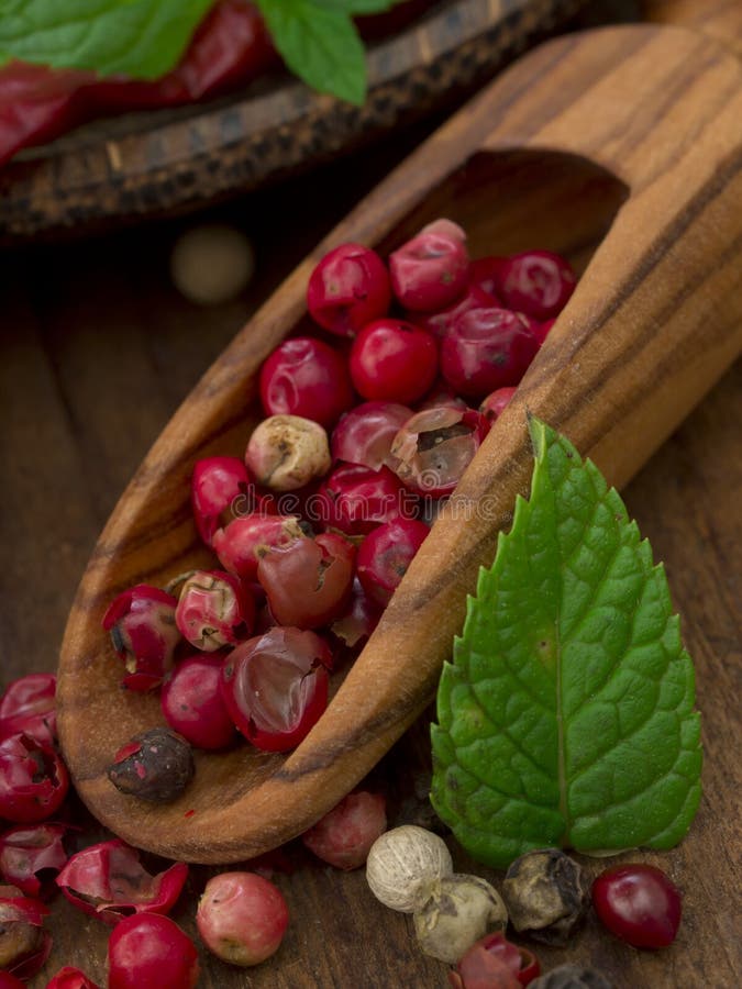Red pepper spice stock photo. Image of assortment, garnish - 26127808