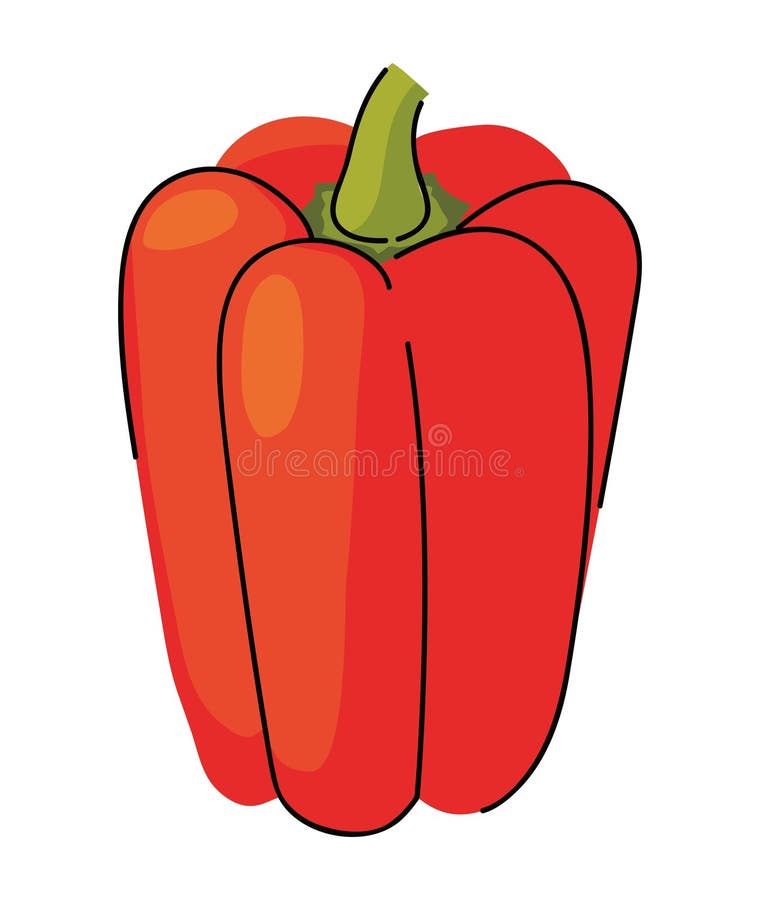 Red pepper with stem stock vector. Illustration of ingredient - 291760868
