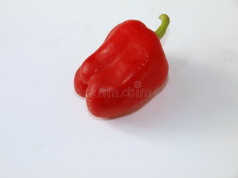 Red Pepper on White Background Stock Image - Image of aromatic, bushes ...