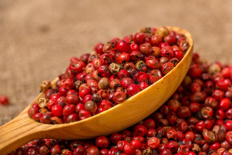 Red peppercorn stock image. Image of color, flavor, exotic - 61567049