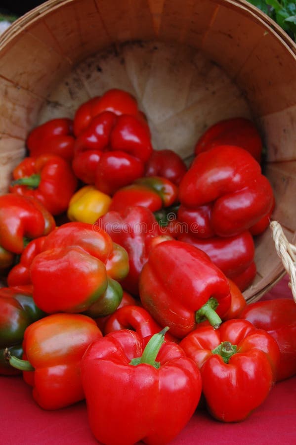 Red Peppers stock image. Image of nutritious, bunch, basket - 11682759