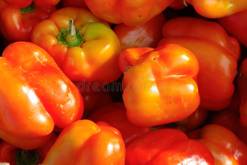 Red Peppers stock image. Image of pepper, dish, nutritious - 13490969