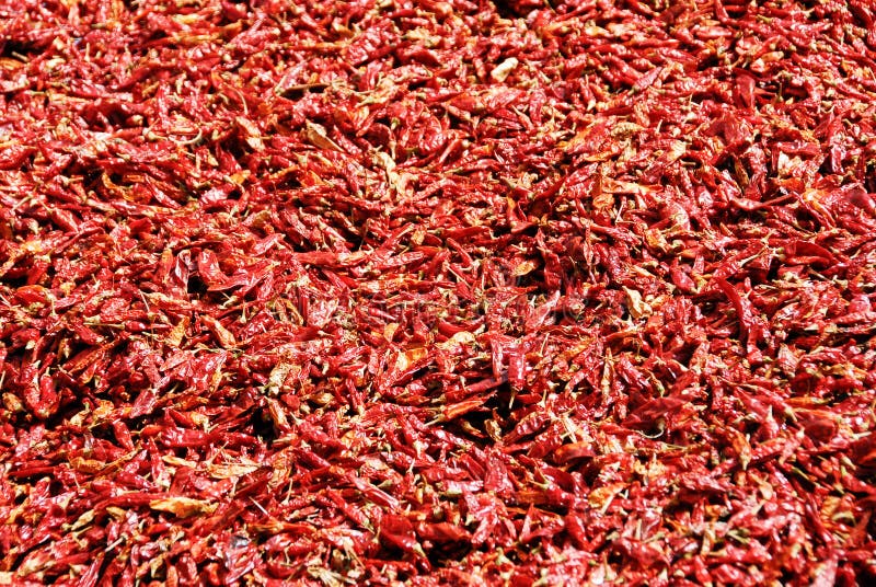 Red peppers stock image. Image of pepper, season, food - 19741953