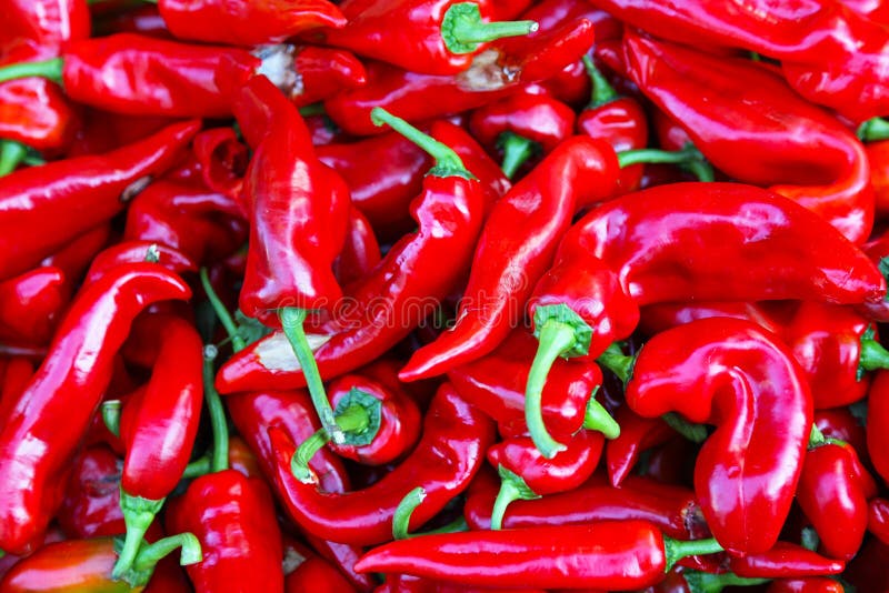 Red peppers stock photo. Image of organic, peppers, crate - 23080586