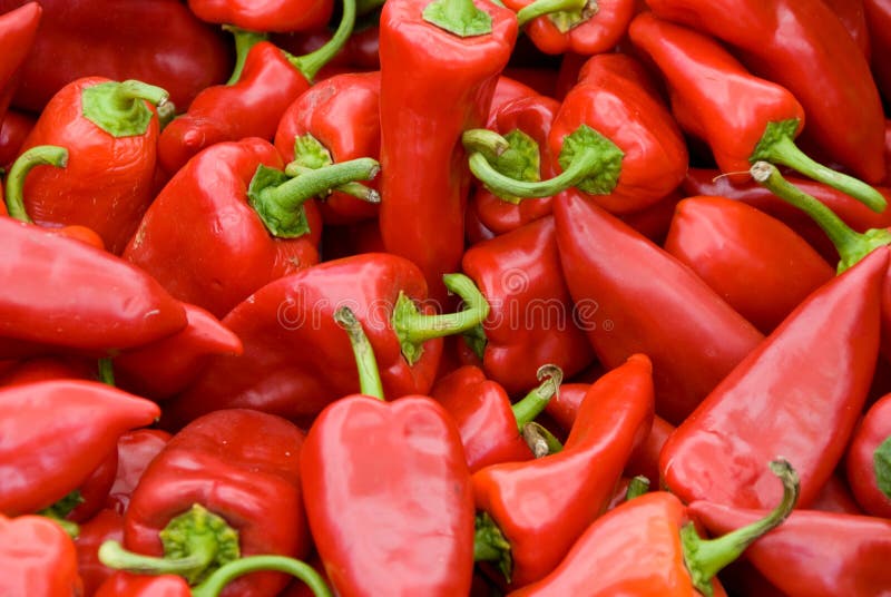 Typical Spanish Snack stock image. Image of spain, typical - 3233793