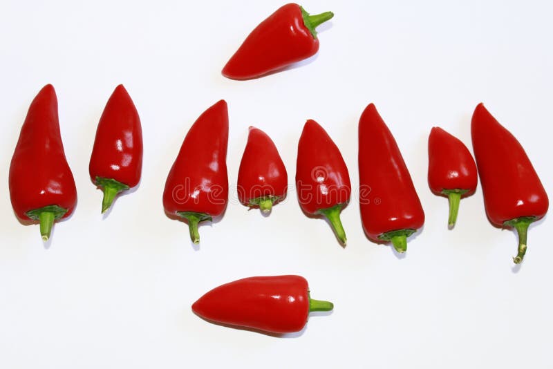Red peppers stock photo. Image of vegetables, isolated - 101586524