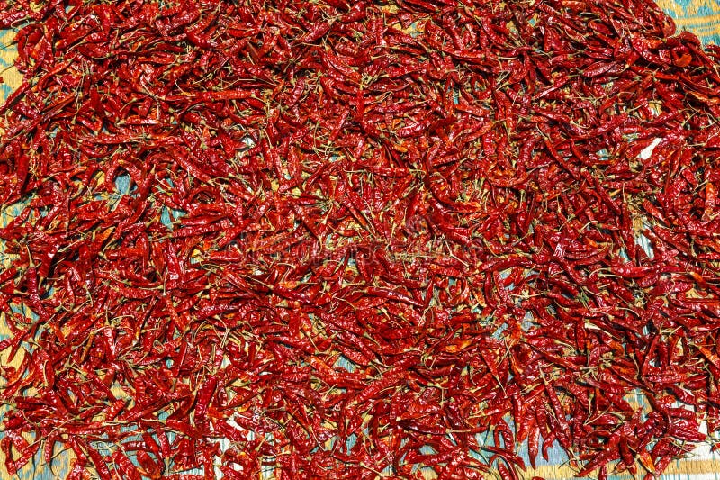 Red Peppers Drying in the Sun, Bhutan Stock Photo - Image of culture ...