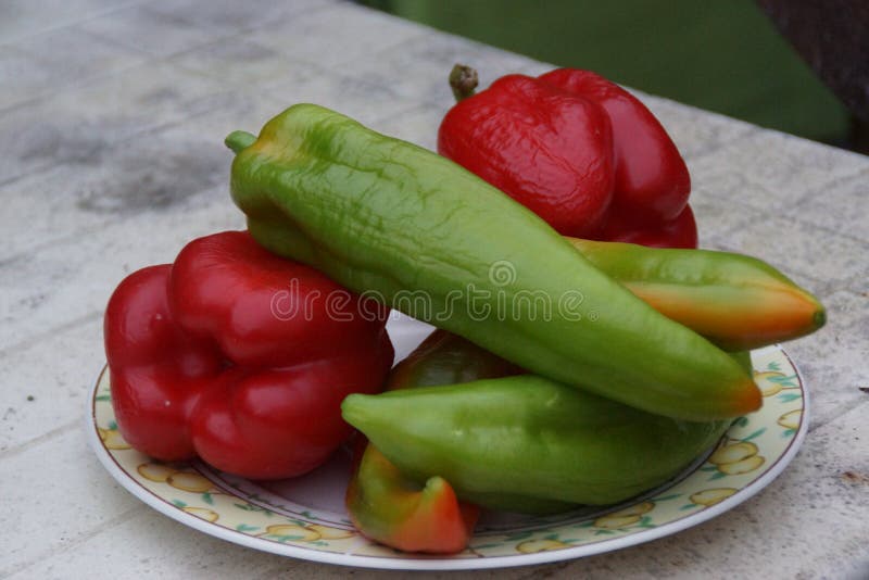 Red Peppers and Greens in a Plate - Front View Stock Image - Image of ...