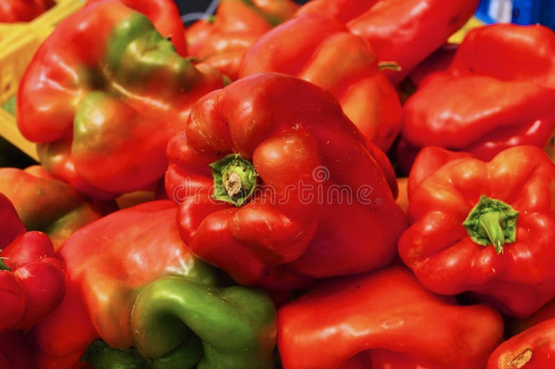 Red peppers stock photo. Image of topping, cuisine, salads - 33317564