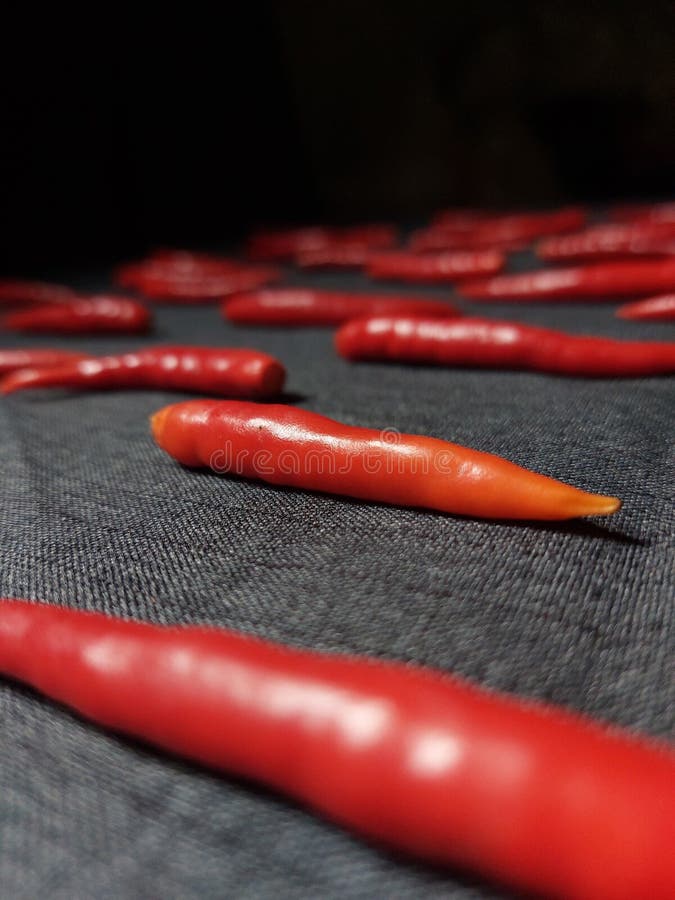 Red Peppers Scattered Horizontally at a Low Angle Stock Photo - Image ...