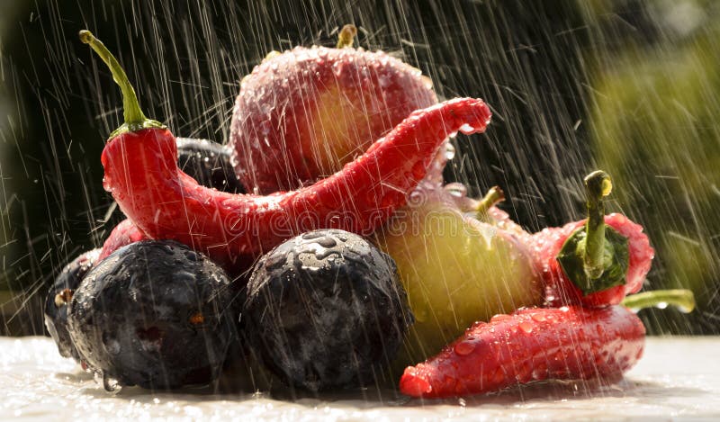 Red Peppers in the Summer Rain Stock Image - Image of freshness ...