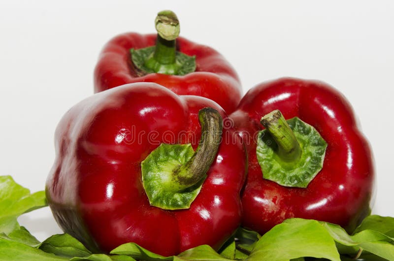 Red peppers stock image. Image of vibrant, wood, food - 30893705