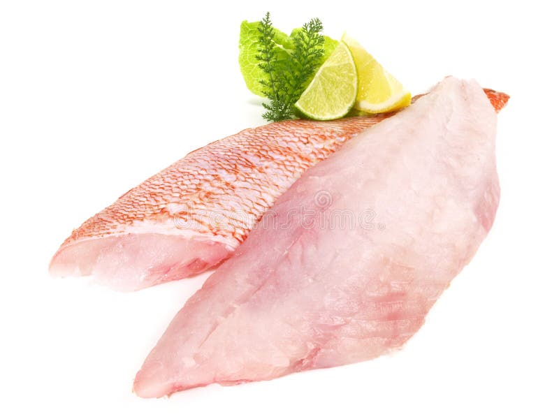 Red Perch Fillet on White stock image. Image of gourmet - 152383009