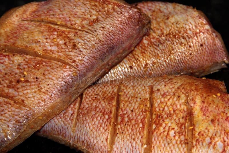 Red Perch in a Marinade on a Black Background Stock Image - Image of ...
