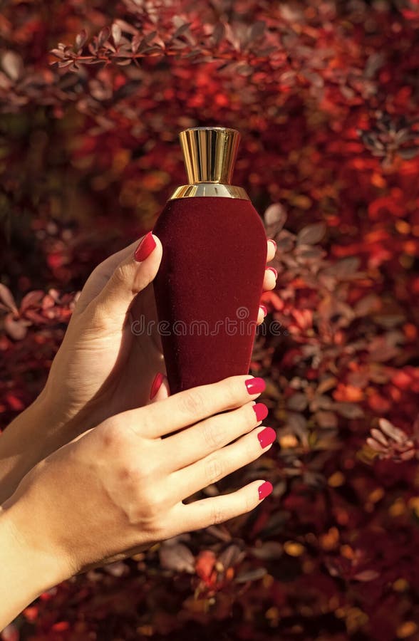 Red Perfume Fragrance in Hand. Presenting Perfume Fragrance Stock Image ...