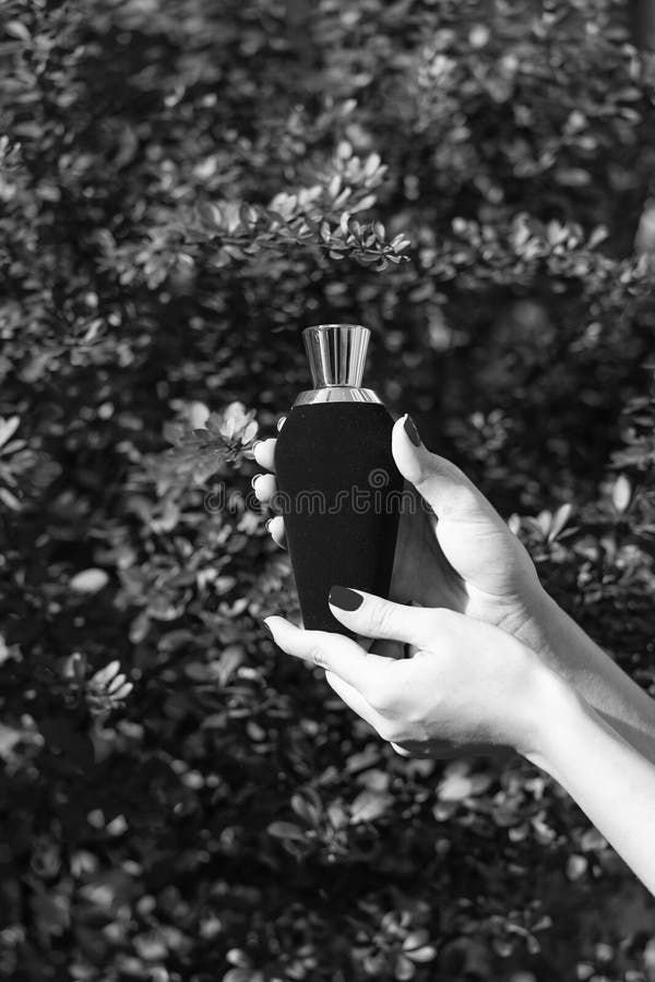 Red Perfumery Bottle in Hand. Presenting Perfumery Bottle on Autumn ...