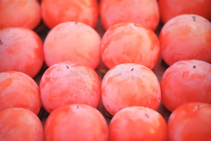 Red persimmon stock image. Image of agricultural, health - 27261825