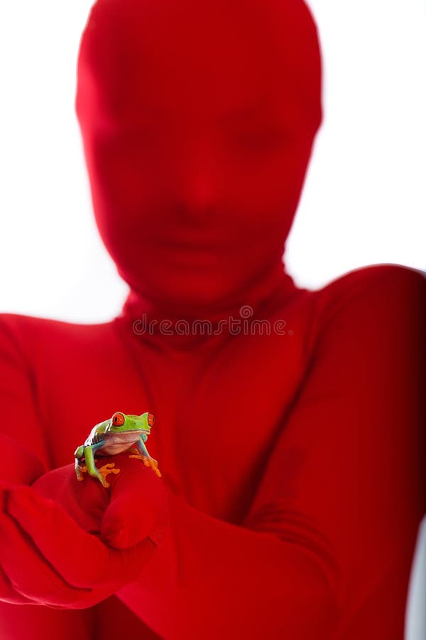 Red Person, Red Eyed Tree Frog Stock Image - Image of eyed, spandex ...