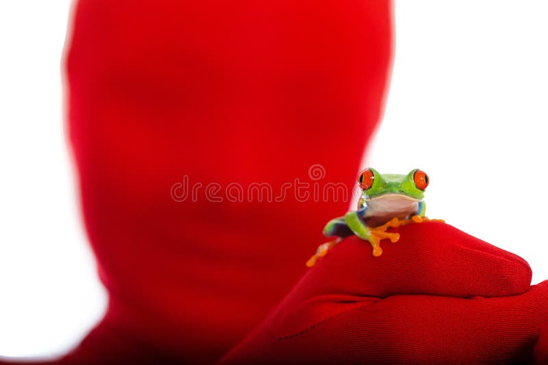 Red Person, Red Eyed Tree Frog Stock Image - Image of people, anonymity ...