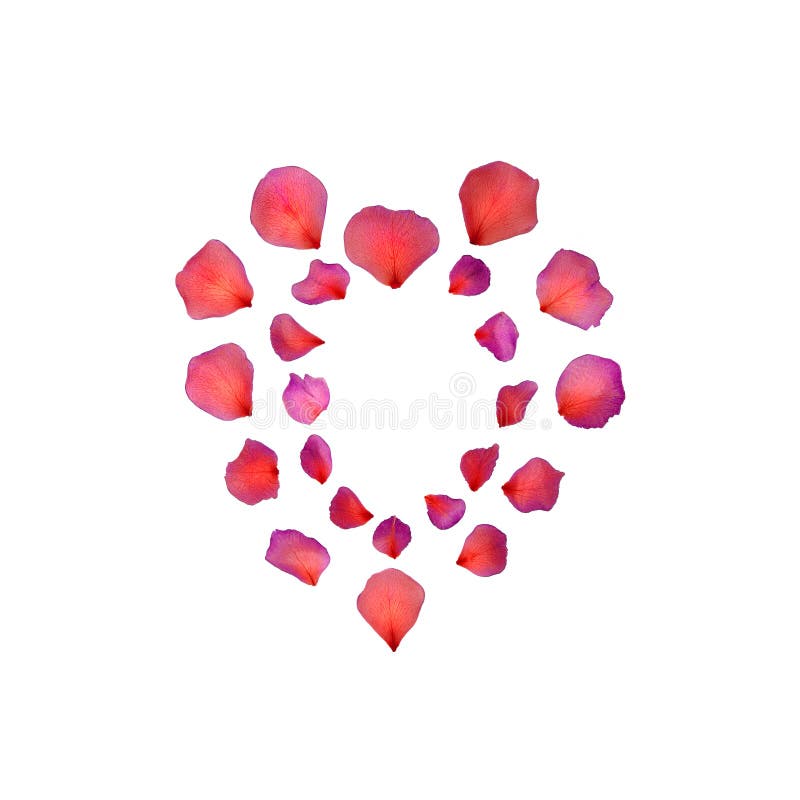 Red Heart Beauty stock photo. Image of decorative, valentine - 12351810