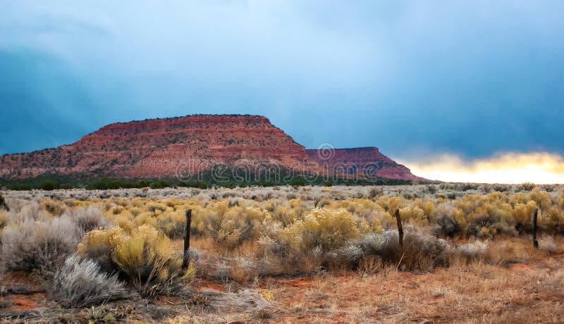 Red Petrified Sandstone Rock in the Arizona Desert Stock Image - Image ...