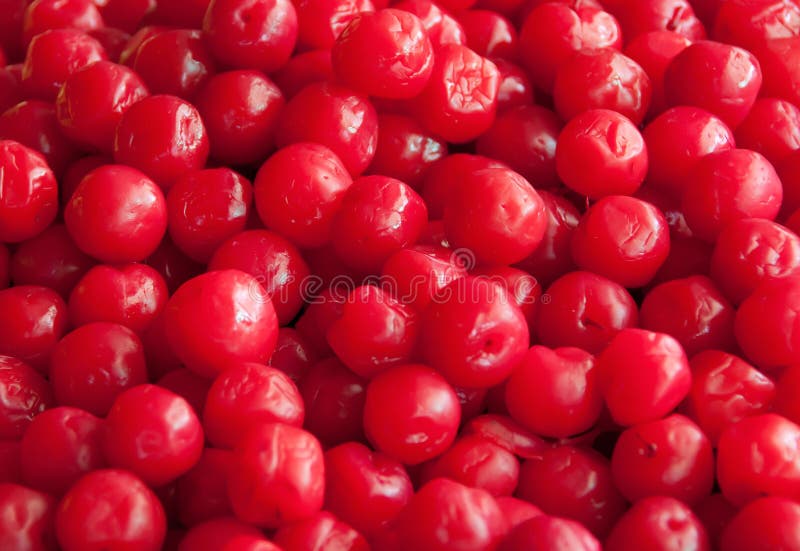 Red pickle cherry fruit stock photo. Image of organic - 33542802