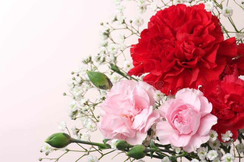 Red and Pink Carnation Bouquet. (horizontal) Stock Image - Image of ...