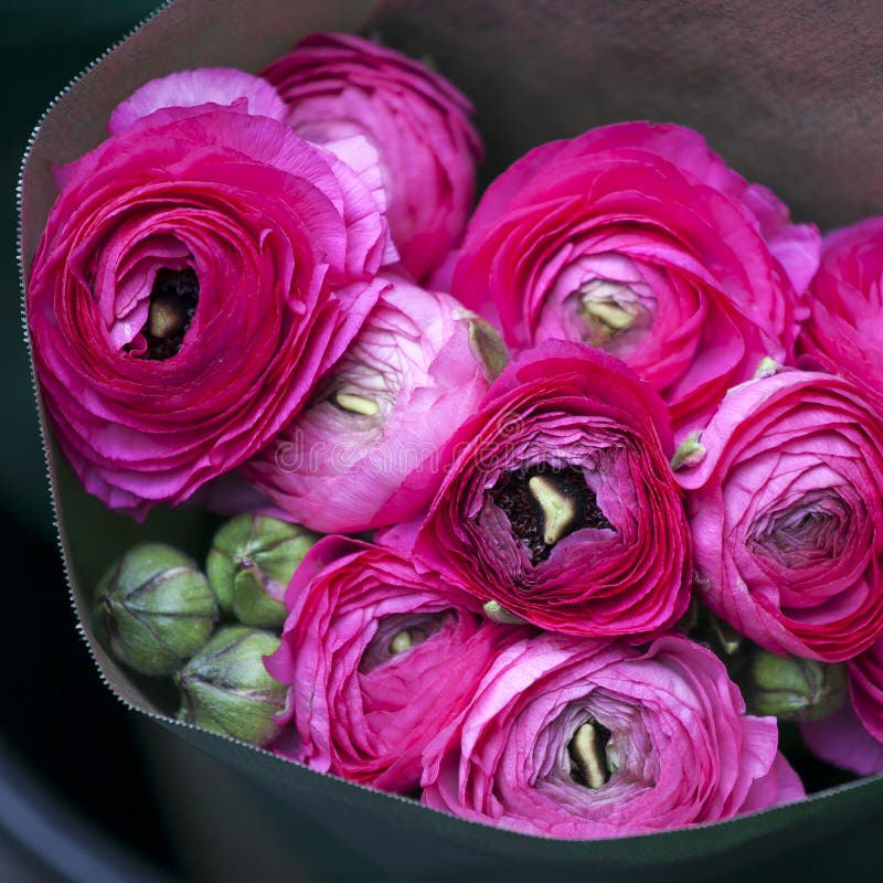 Red, Pink Flowers of the Ranunculus in Bouquet Stock Image - Image of ...