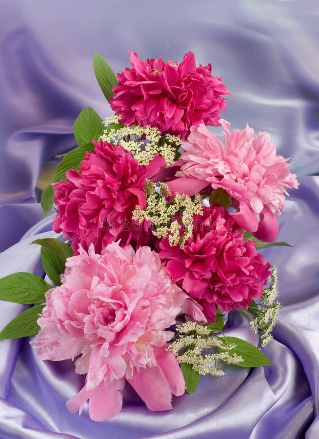 Red and pink peonies stock photo. Image of summer, flower - 25170354