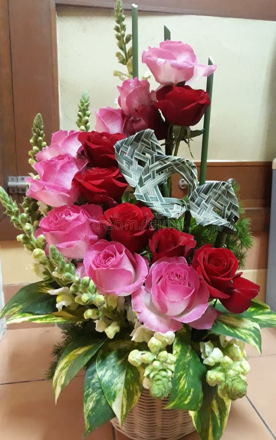 Red and pink Roses stock photo. Image of roses, paris - 268479660