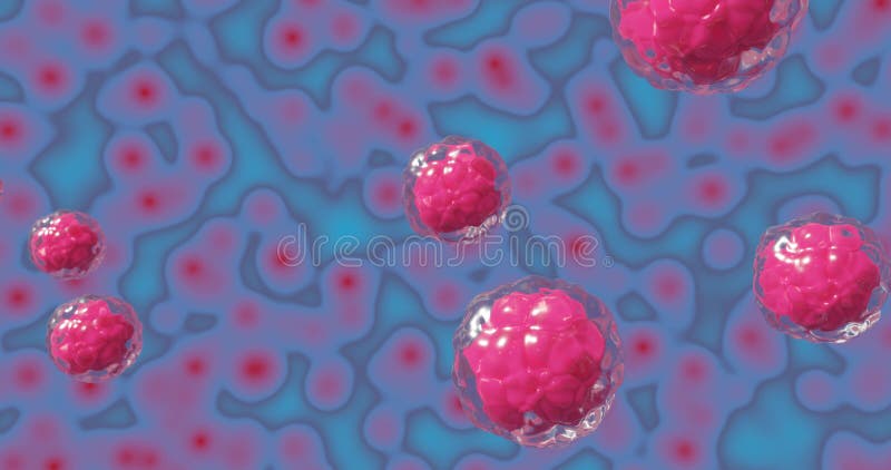 Stem-Cells Moving in Liquid Stock Video - Video of microscope, moving ...