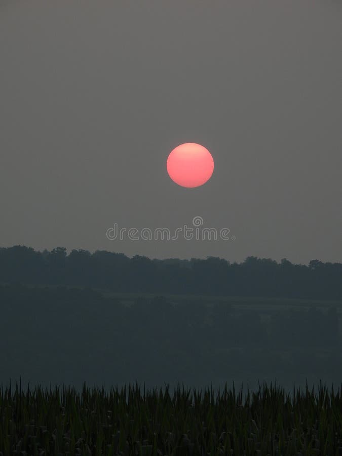 Dusky Pink Sunset Over Cornfields during Forest Fire Smoke in ...