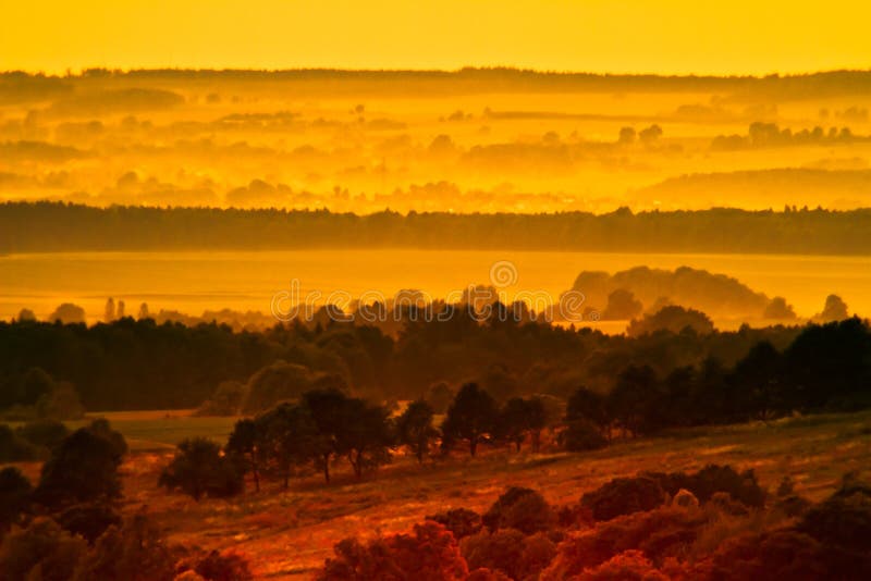 Red Planet Forest at the Red Sunset Stock Image - Image of forest ...