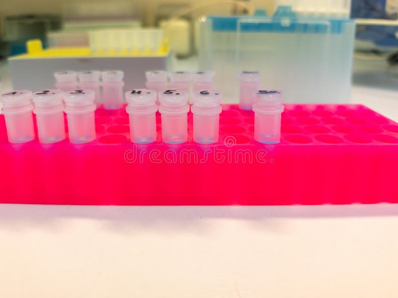 Laboratory Eppendorf Tubes on a Sterilized Jar with Autoclave Tape ...