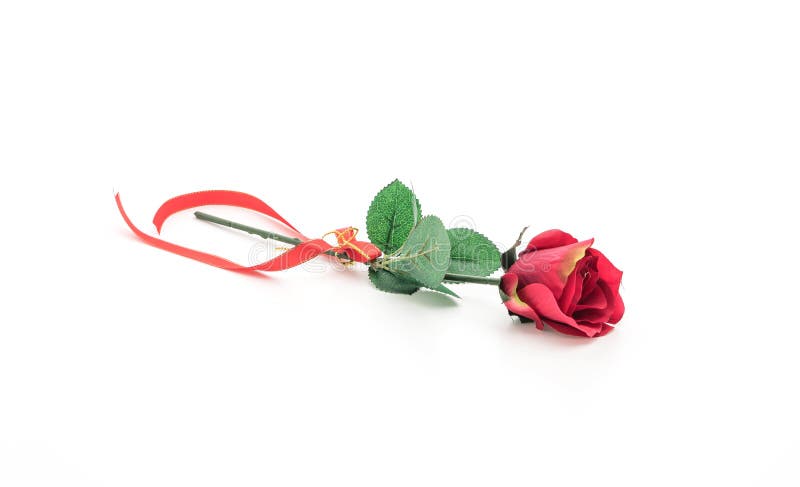 220 Single Red Rose Plastic Stock Photos - Free & Royalty-Free Stock ...