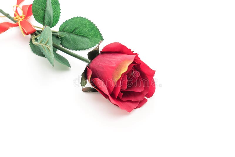220 Single Red Rose Plastic Stock Photos - Free & Royalty-Free Stock ...