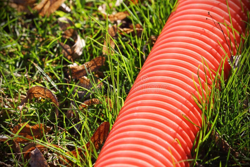 Red Water Pipe Lying on Green Grass Stock Photo - Image of bright ...