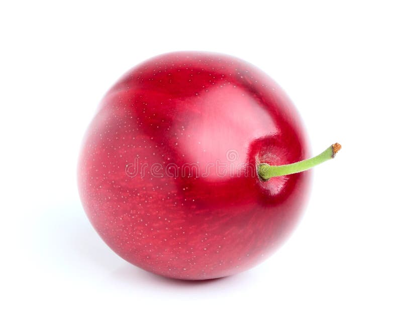 Red plum close-up. stock photo. Image of organic, juicy - 43625574
