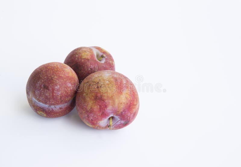 Red plum fruit stock image. Image of isolated, gourmet - 71389653