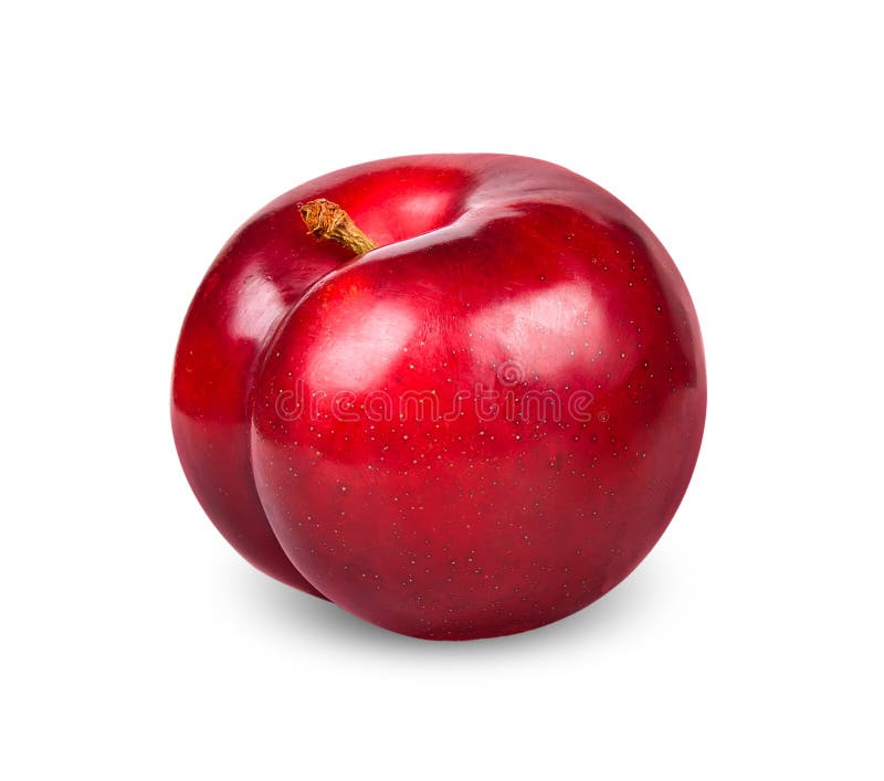 Red Plum Isolated on White Clipping Path Stock Image - Image of snack ...